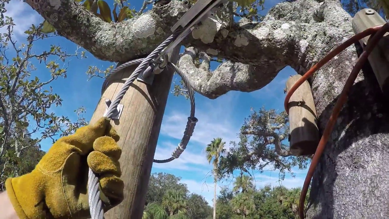 Crocodile Crossing - The Nile River Course at the Alligator Farm ...