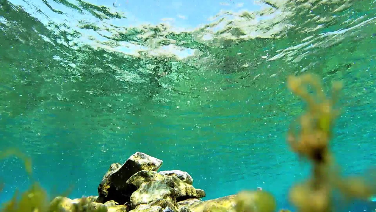 Gigantic Warm Springs Montana - YouTube