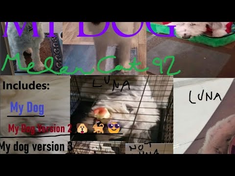 My Dog Version 2🐶🐕😎 - YouTube