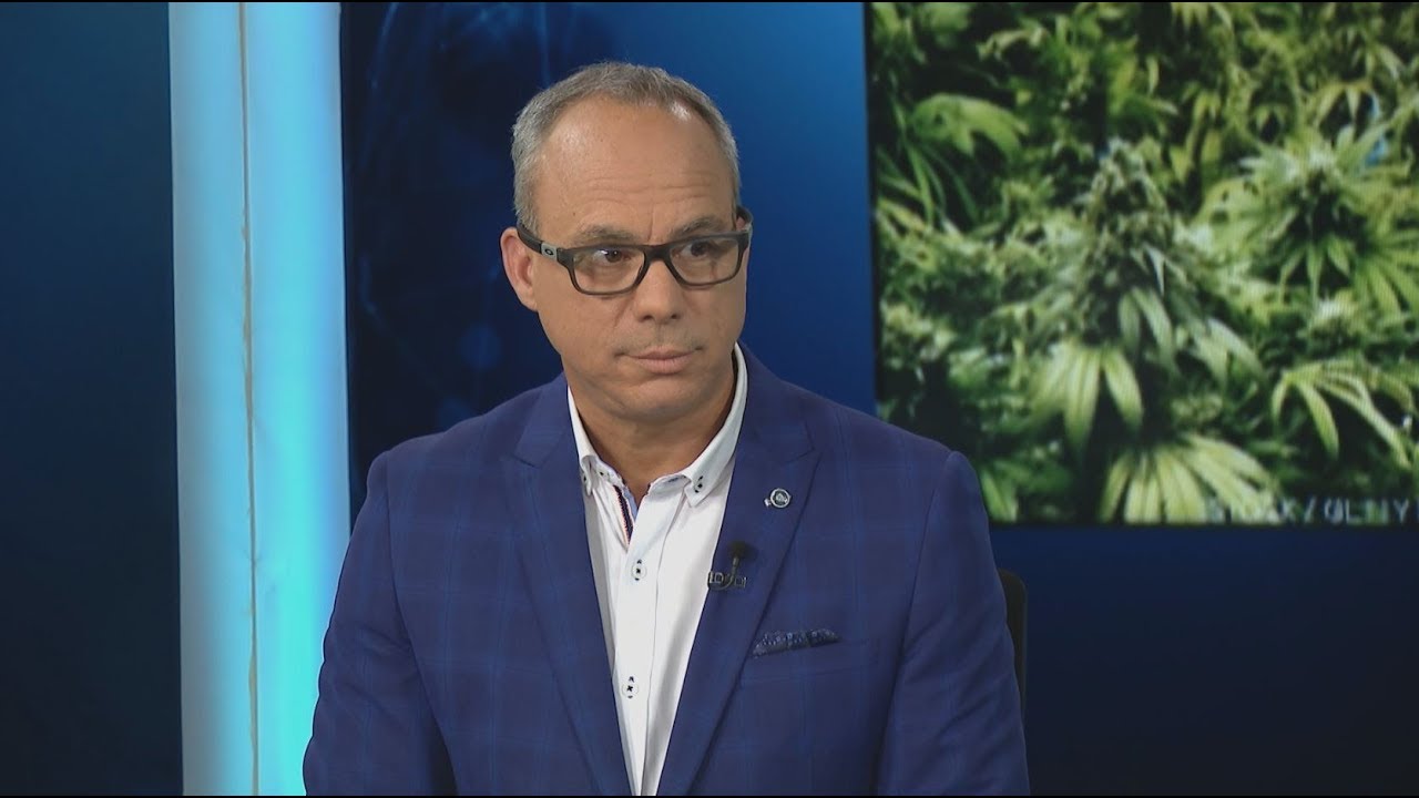 Public Health discusses marijuana edible legalization - YouTube