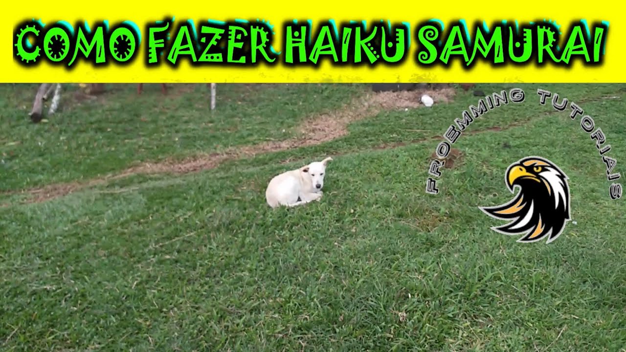HAIKU POEMA SAMURAI - APRENDA FAZER AGORA - YouTube