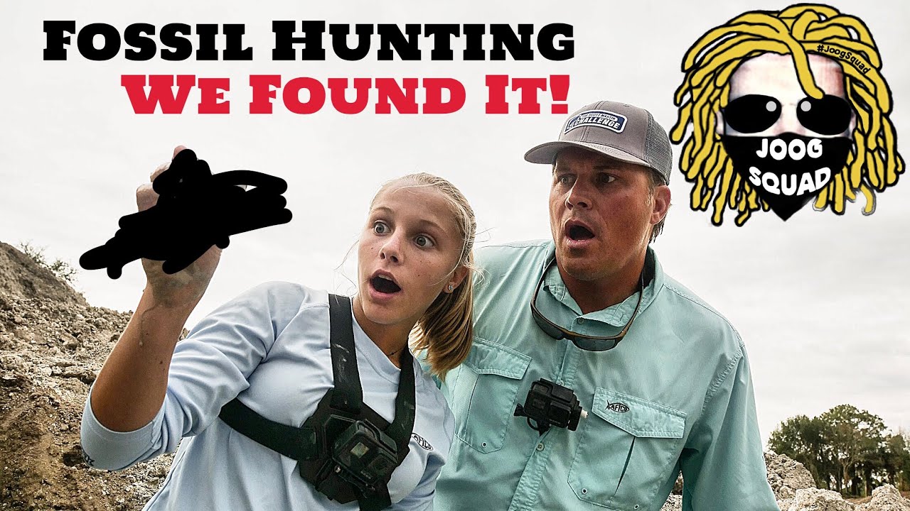 Fossil Hunting w/ JOOG SQUAD - Mega Megalodons - YouTube