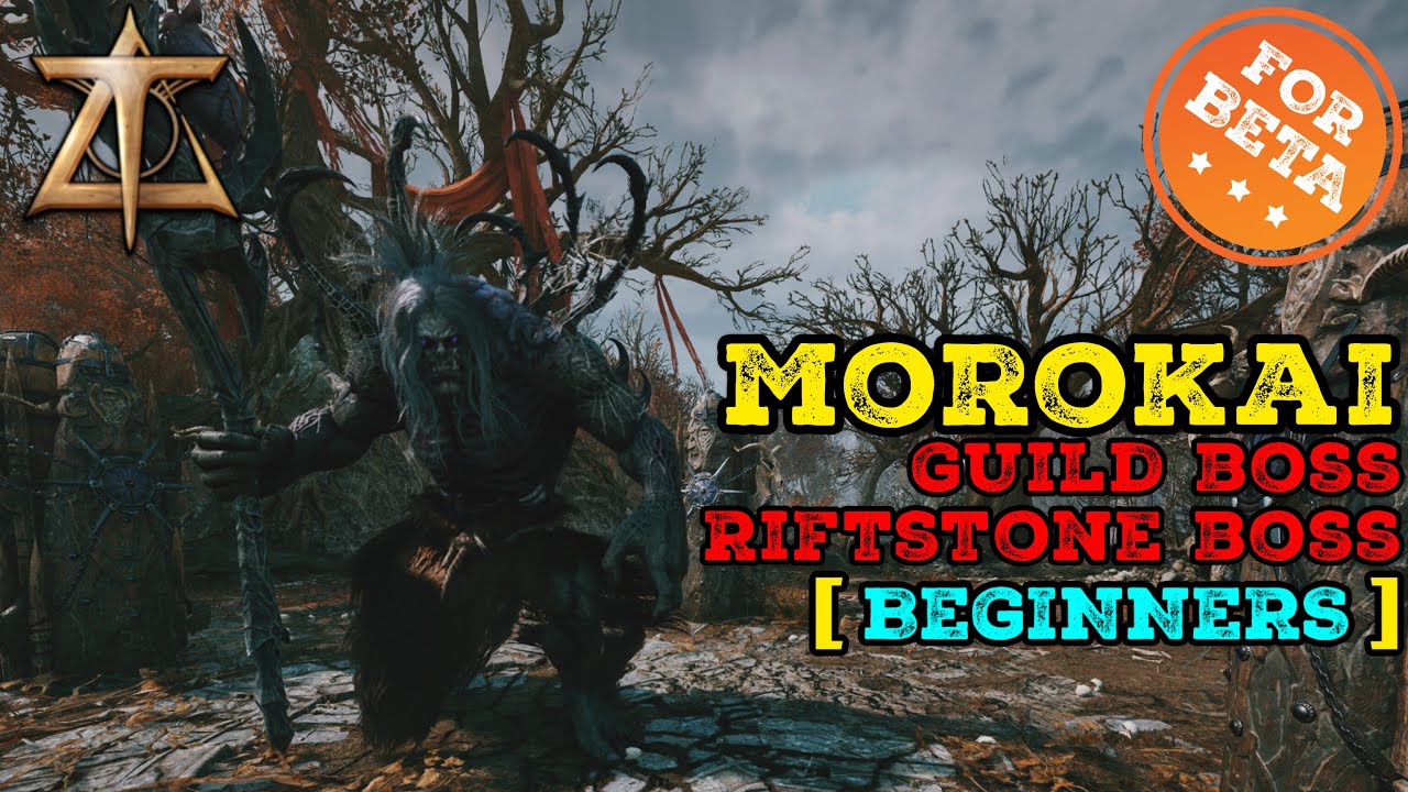 Quick Guide - Morokai Boss - Guild Raid - Throne & Liberty - YouTube