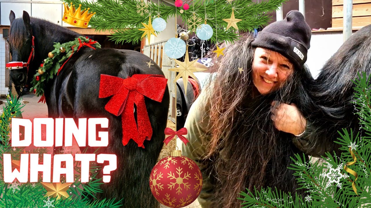 New! Queen👑Uniek became the Christmas queen!👑 Doing what? #vlogmas ...