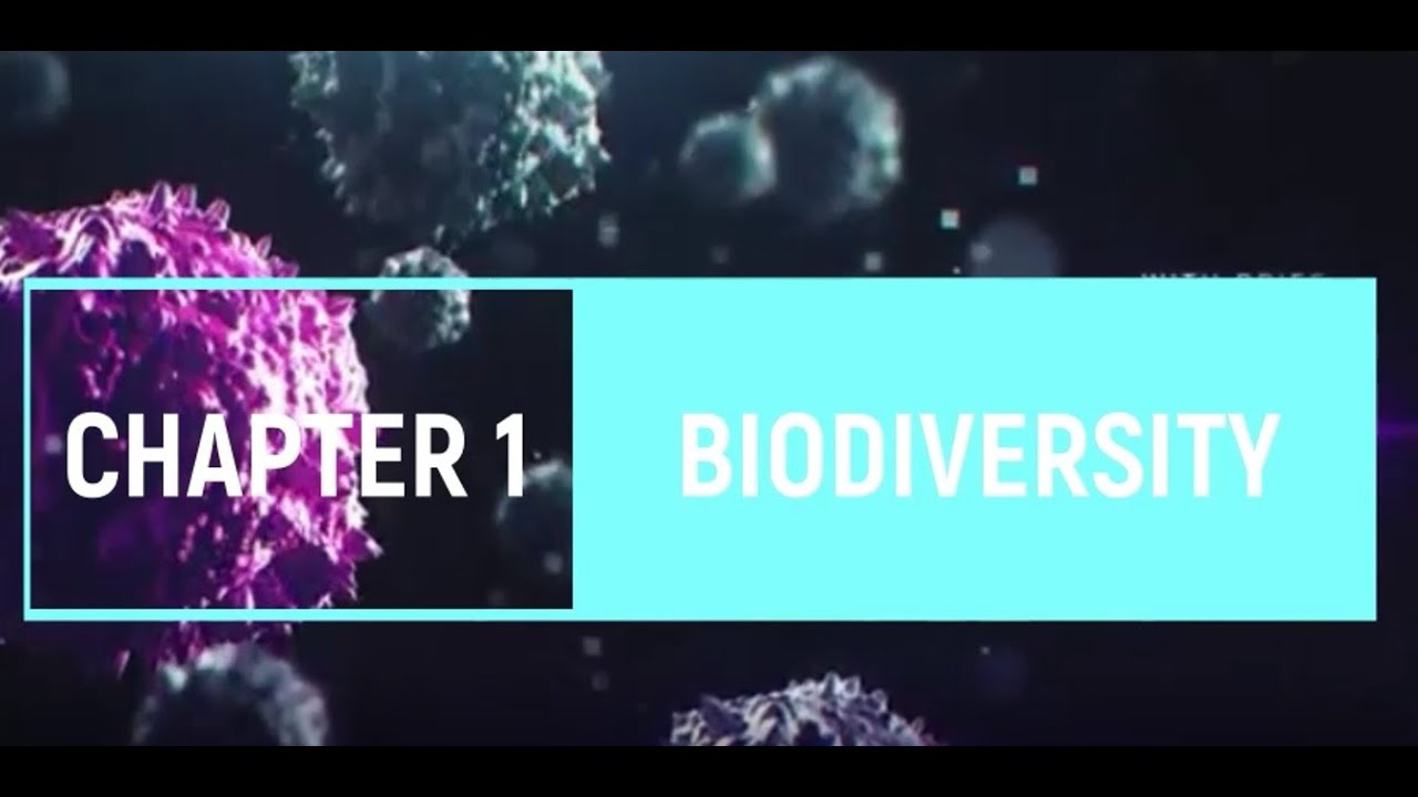 Tutorial 1.1 to 1.5 (CHAPTER 1 BIODIVERSITY) - YouTube
