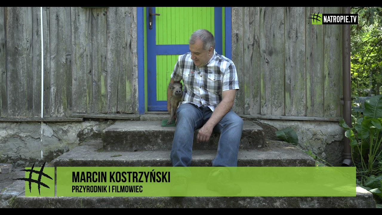 Marcin z Lasu i jego dzik - YouTube