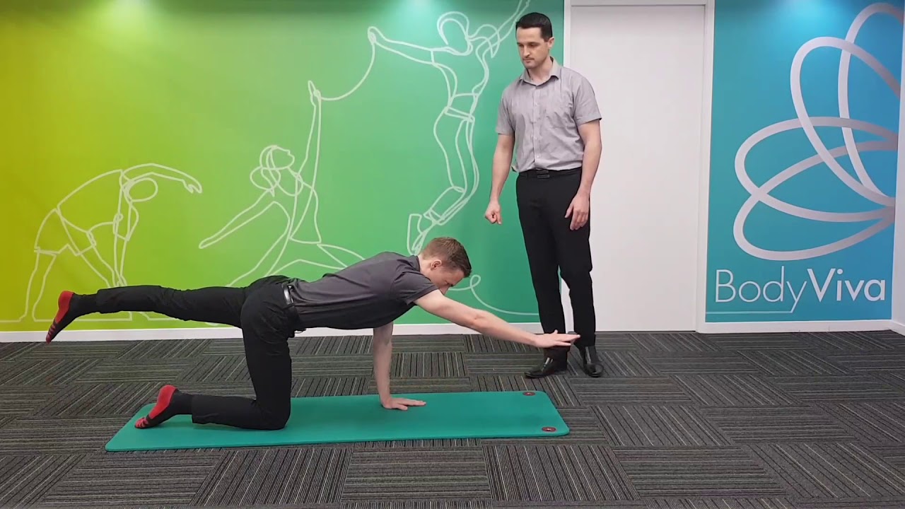 Quadruped/four-point kneeling and plank progressions - YouTube