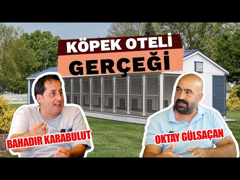 Köpek Oteli Gerçeği: Kimse Anlatmıyor