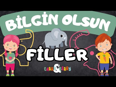 Çocuklar İçin Belgesel | BİLGİN OLSUN - 1 | HAYVANLARI TANIYALIM | FİL BELGESELİ