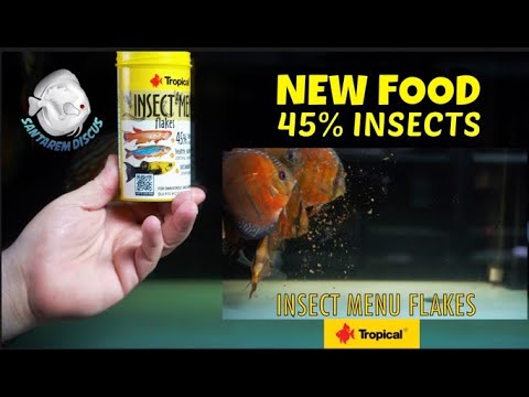 Insect Menu the New Food with 45% Insects - YouTube