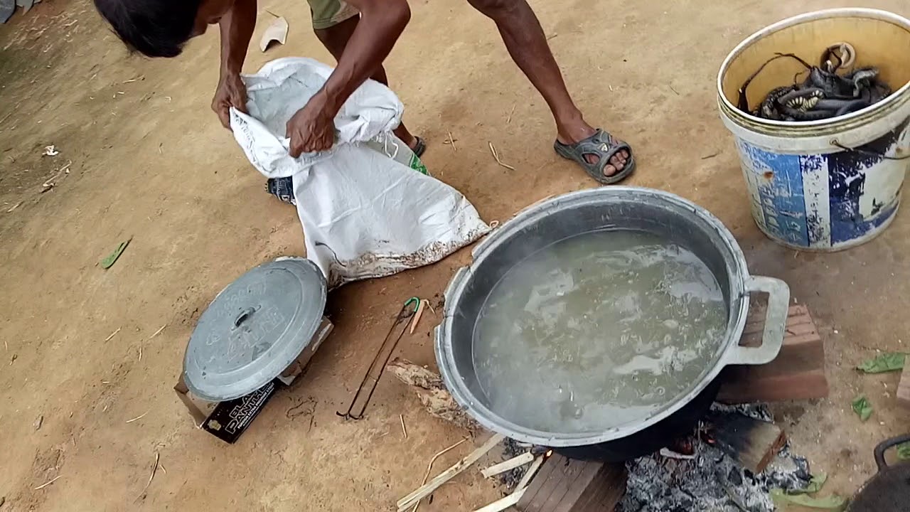 How to catch snake / and to kill snake Part II - YouTube