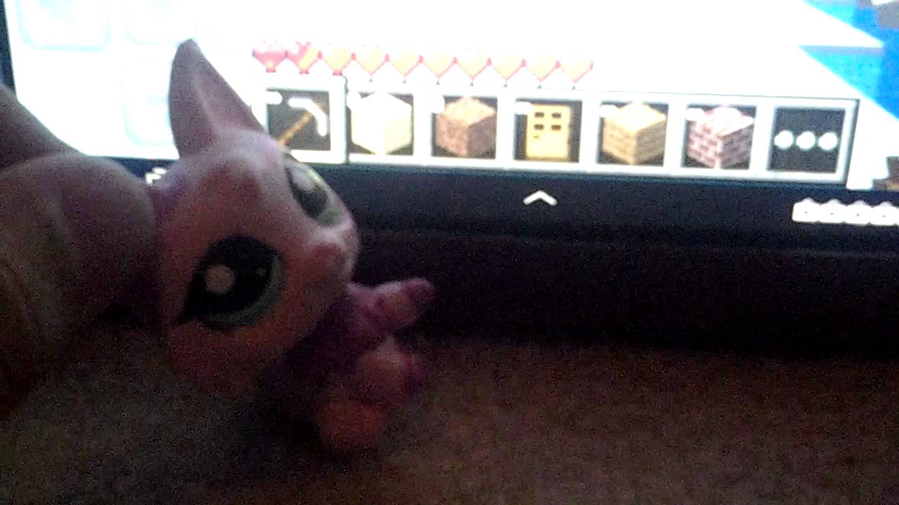 Minecraft,lps and my sister - YouTube