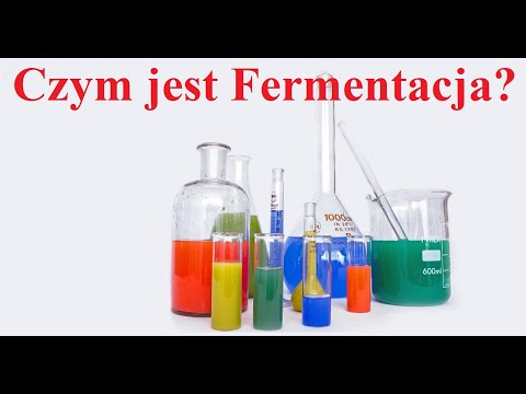 Czym jest FERMENTACJA - YouTube