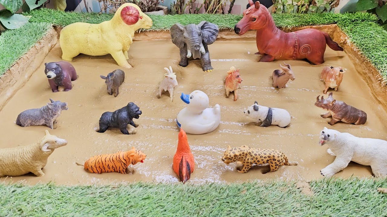 Saving Domestic Pets and Zoo Animals from Sticky Situations | Fun for ...