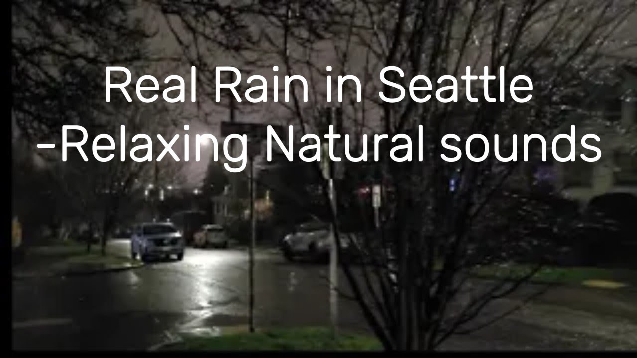Real Rain in Seattle-Relaxing Natural Sounds - YouTube