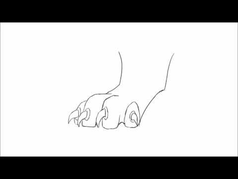 Cat Claw Animation - YouTube