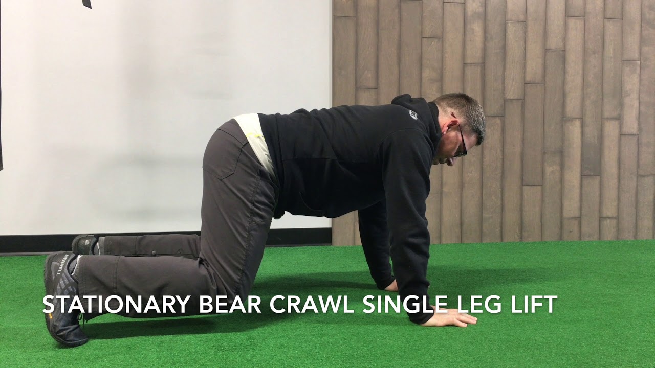 Stationary Single Leg Bear Crawl Lift - YouTube
