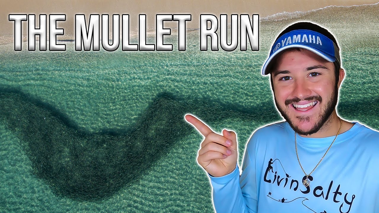 Why the past MONTH of fishing has been the best I've EVER seen | The ...