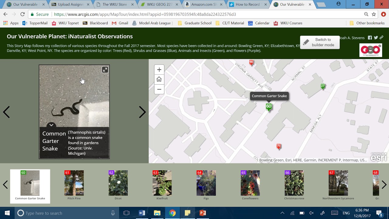 GEOG 227 - iNaturalist Story Map Tour (Noah Stevens) - YouTube