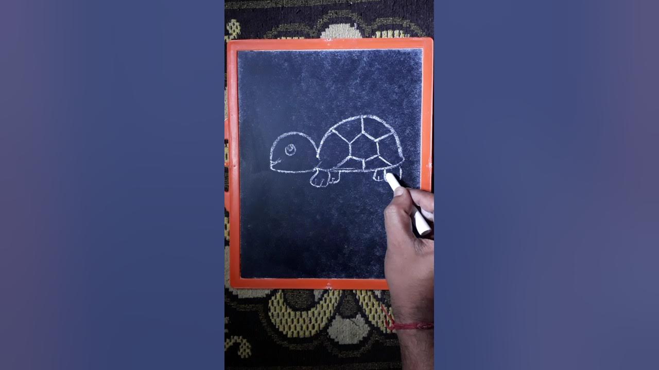 How to draw Turtle number 3 🐢 #art #shorts #turtle - YouTube