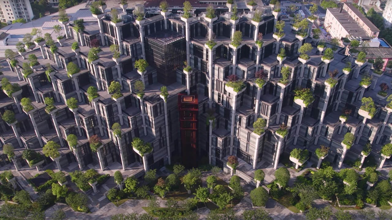 Drone video showing the first completed phase of 1,000 Trees by ...