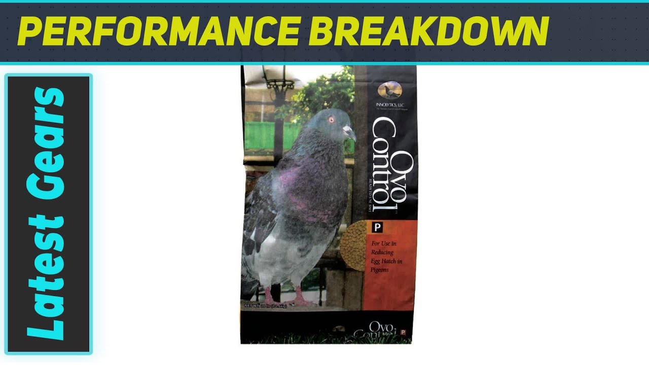 OVOCONTROL: Ultimate Pigeon Control Solution? - YouTube