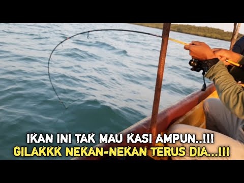 ROD CAPUNG LUARBIASA..!!! JORAN MELENGKUNG TAJAM DISAMBAR IKAN INI...!!! - YouTube