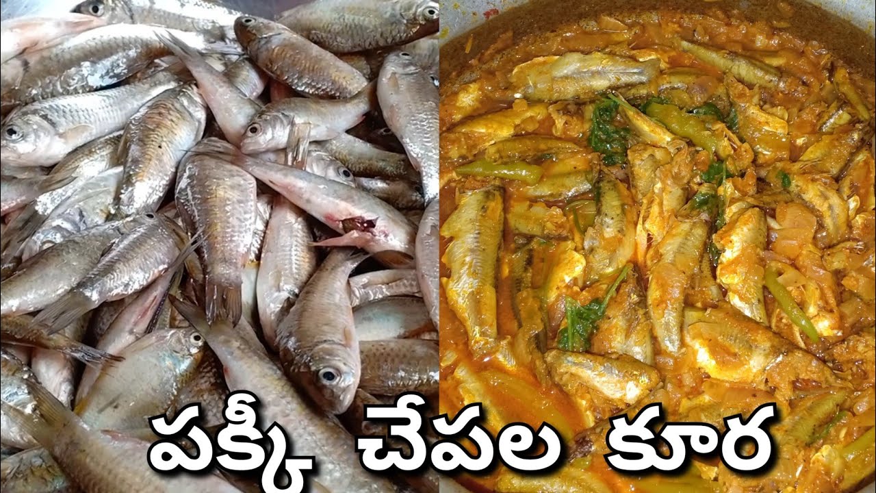 How to clean and cook Pakki fish??పక్కీ చేపల/చిట్టి చేపల కూర😋||Rich in ...