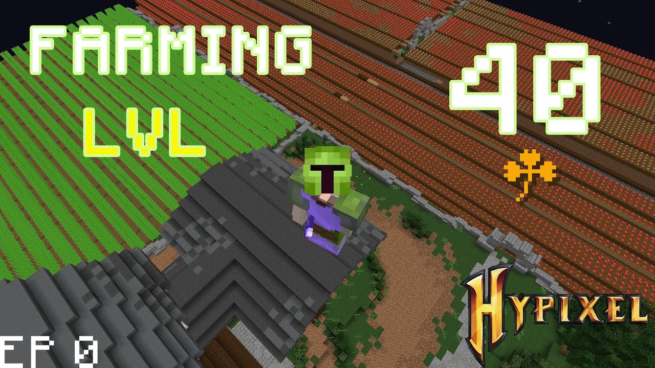 Asi LLEGUE al Nivel 40 de FARMING Skyblock Hypixel - YouTube