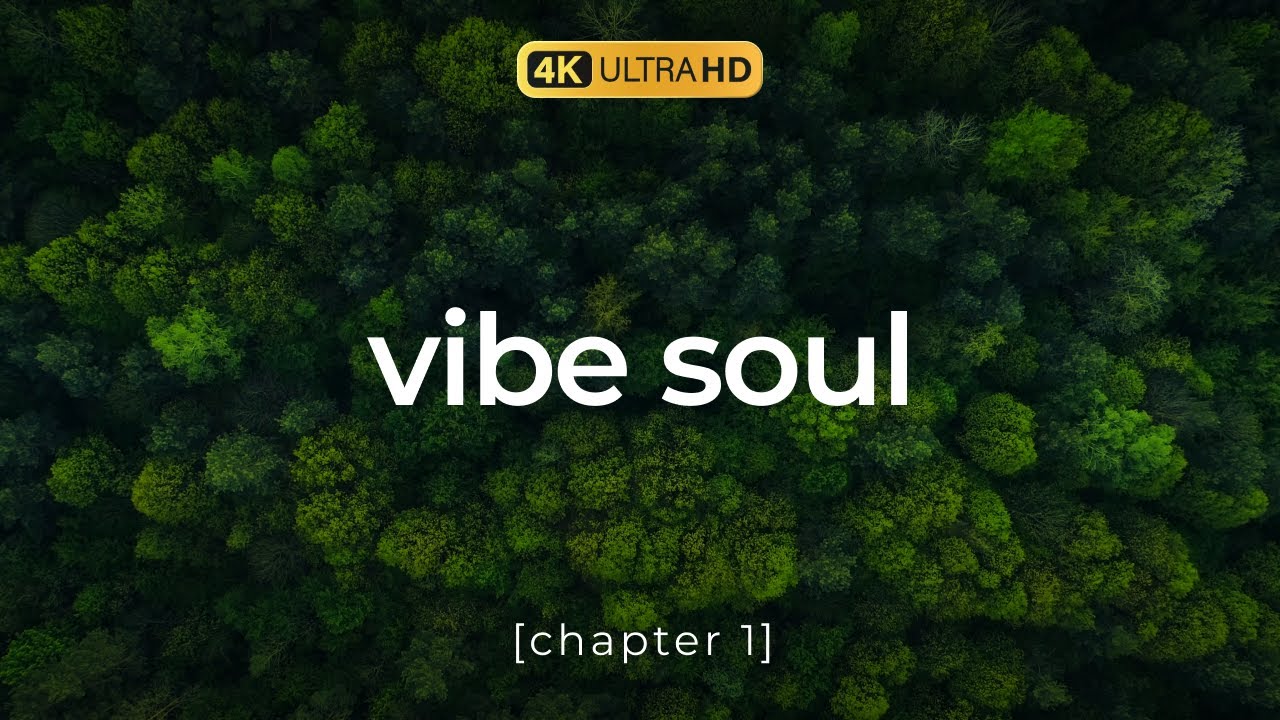 VIBE SOUL🌙 Peaceful Soothing Instrumental Music 🏕 Расслабляющая и ...
