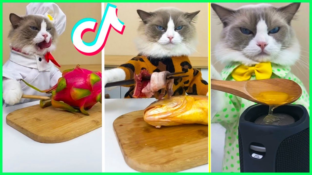 That Little Puff | Tiktok Compilation 2023 - YouTube