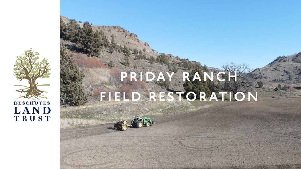 Priday Ranch Field Restoration - YouTube