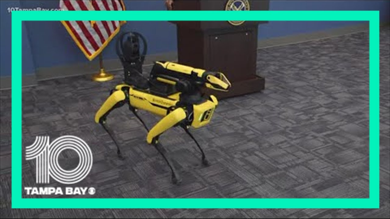 St. Petersburg Police Department introduces robot dog - YouTube