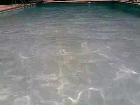 Marais TV - Jingle pub piscine 2 (version fille)