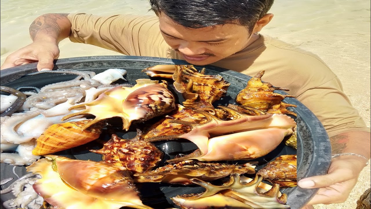 catch and cook sea snail | yummy cooking vlog - YouTube