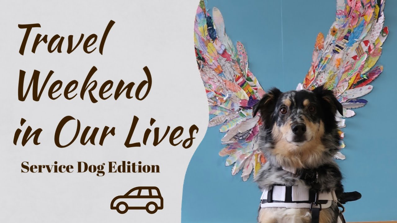Weekend in the life || Service Dog, Travel, Hotels, Arcade Etc - YouTube