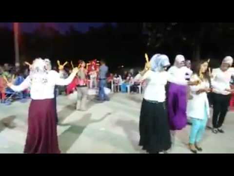 EMMİ DAYI HEPİSİDE BİR OLMUŞ