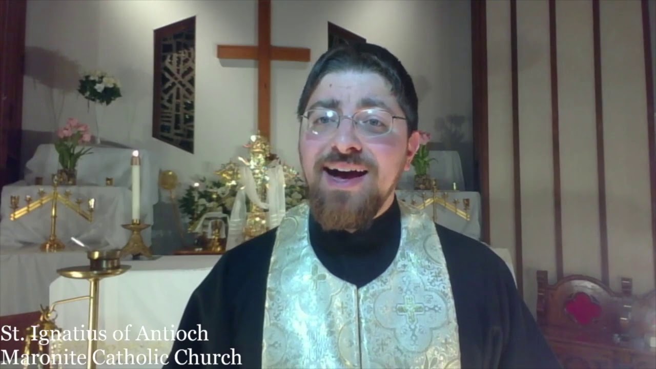 Friday of the Week of the Glorious Resurrection-Luke 24:36-45 by Father ...