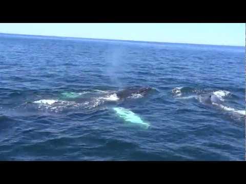 necwa trip 6-10-part two.mp4