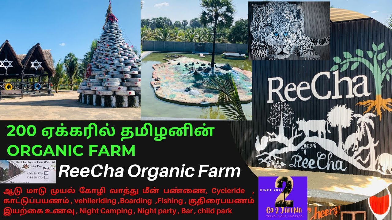 வடக்கில் இப்படி ஒரு இடமா 😲😳😲 குடும்பத்துடன் ENJOY பண்ண # ReeCha Organic ...