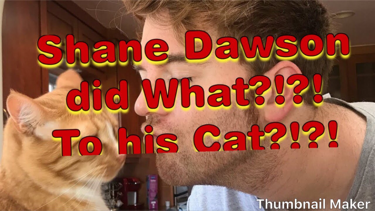 *explict Audio* | Shane Dawson did what with his cat? 😱 - YouTube