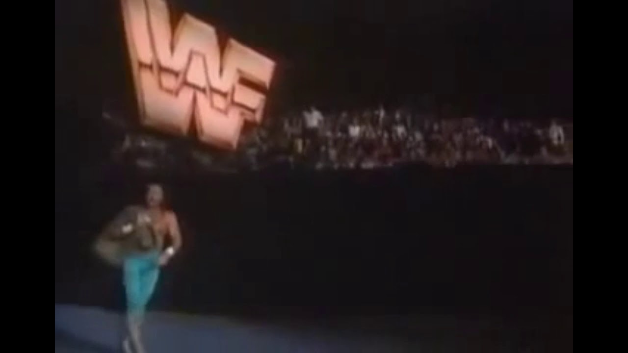 Jake Roberts vs Jobber Alan Martin WWF Wrestling Challenge 1991 - YouTube