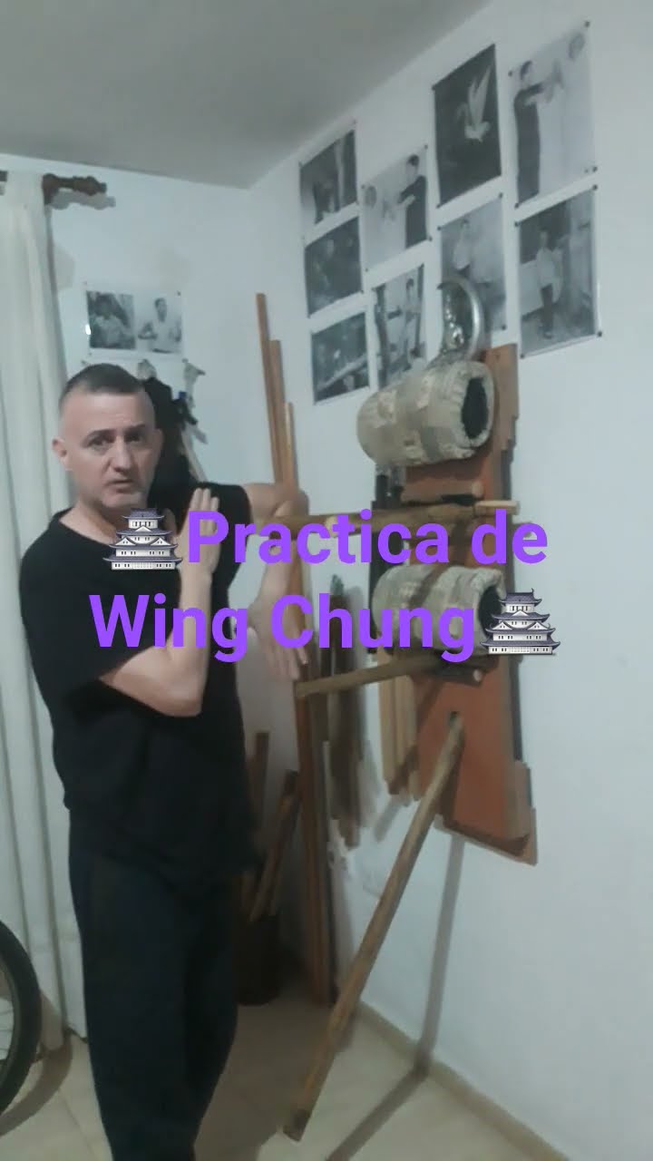 🏯Practica de Wing Chung🏯 - YouTube