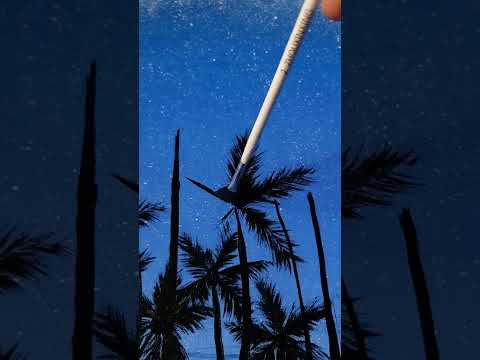 how to make palm trees easily? - YouTube
