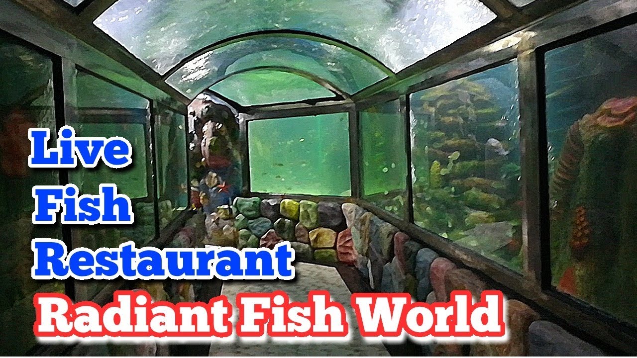 Fish World Cox's Bazar | Radiant fish world Cox's bazar | Live fish ...