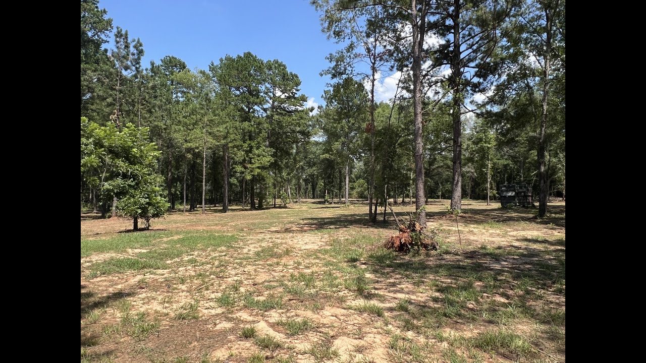 Smith County Land for Red Stag Real Estate - YouTube