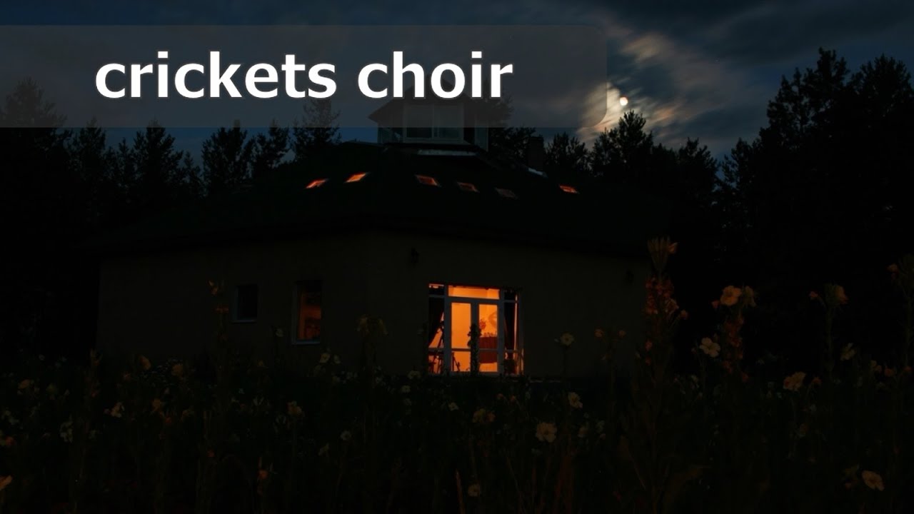 Crickets choir on a summer night—nature sounds for relaxation, sleep ...
