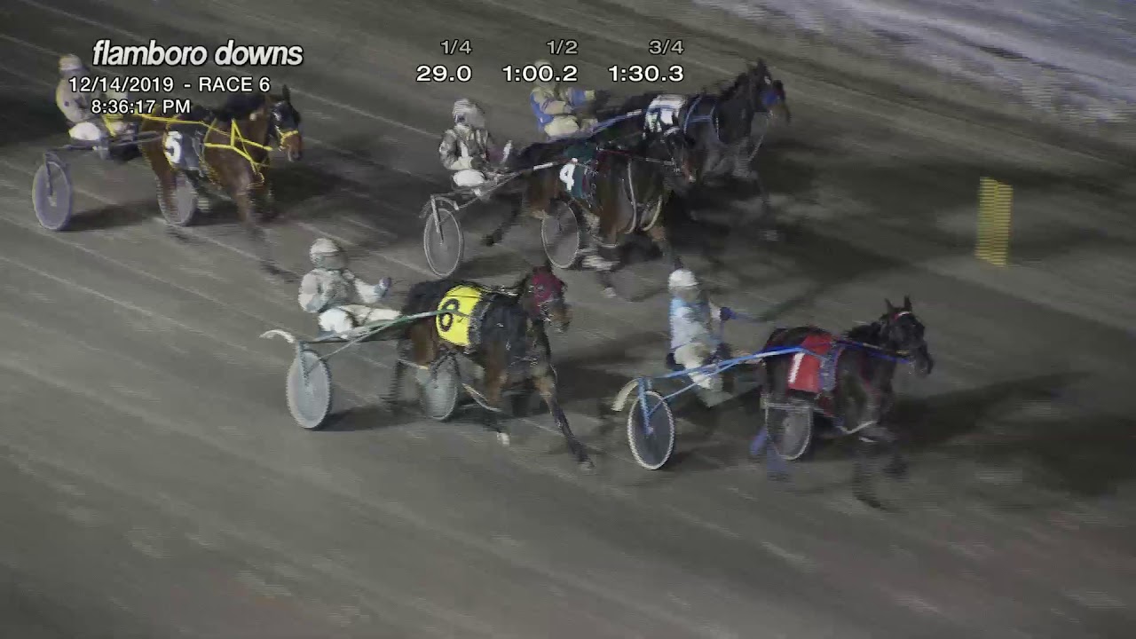 DEC 14,2019-RACE 6-FLAMBORO DOWNS - YouTube
