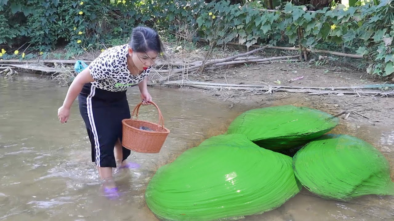 Astonishing Discovery: Girl Finds Hidden Treasure-Filled Mutant Clam in ...