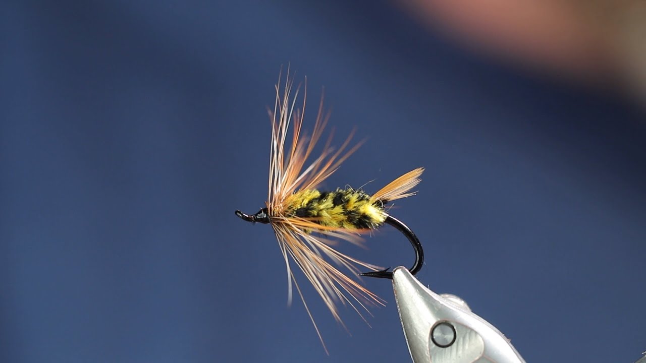A Classic steelhead fly. The Brindle Bug. #flyfishing #flytying # ...